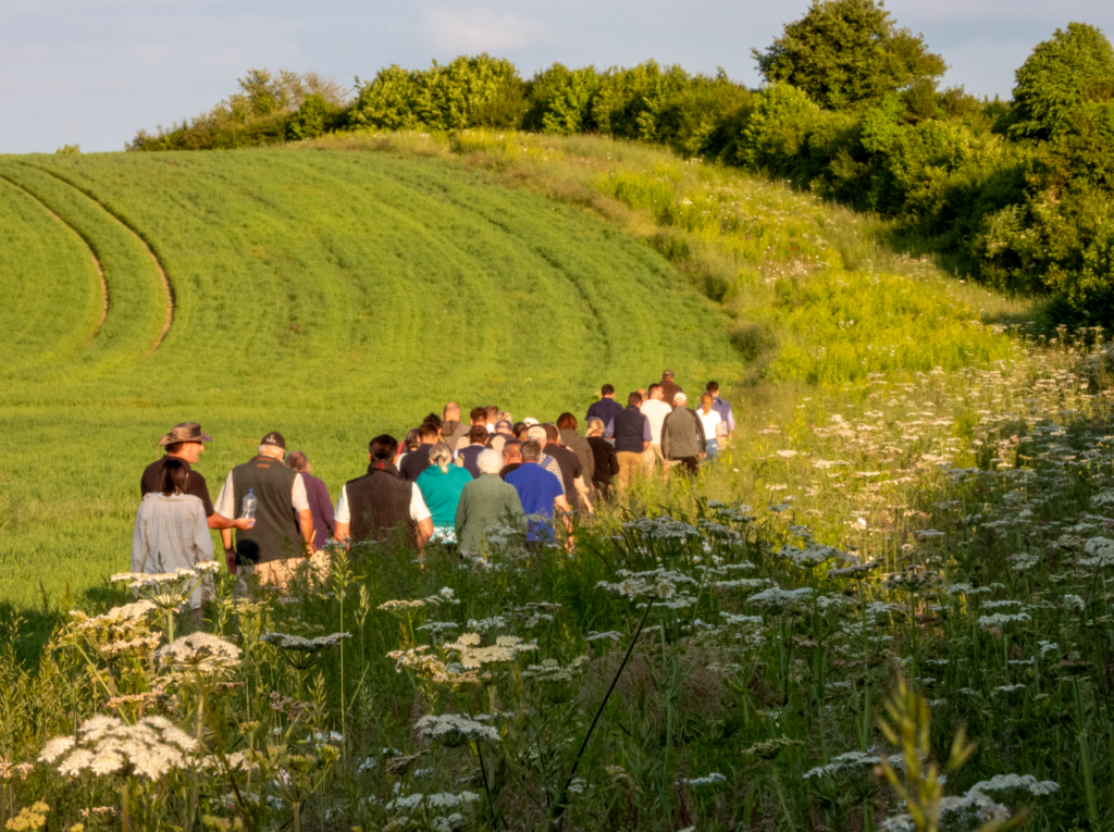 A hedge-laying management system for improved habitats | Cranborne Estate